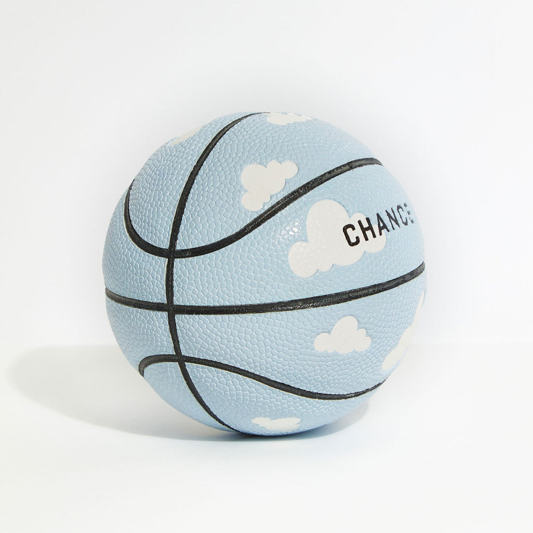 FLOAT Mini Composite Leather Basketball – Chance
